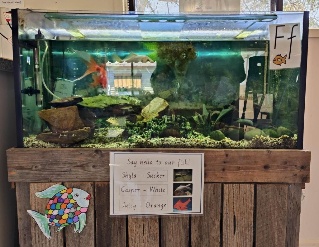 Stepping Stones Early Childhood Intervention Program - BCHS