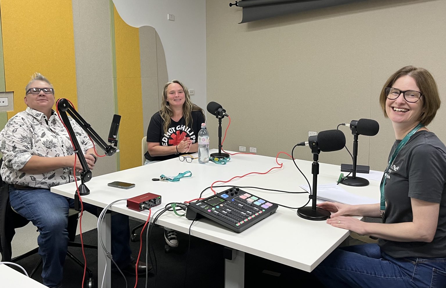 Role models for recovery: The power of peer support workers - BCHS